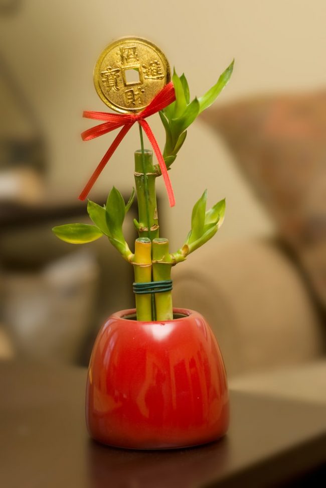 12 Inspiring Feng Shui Decorating Ideas for Your Home - Rhythm of the Home