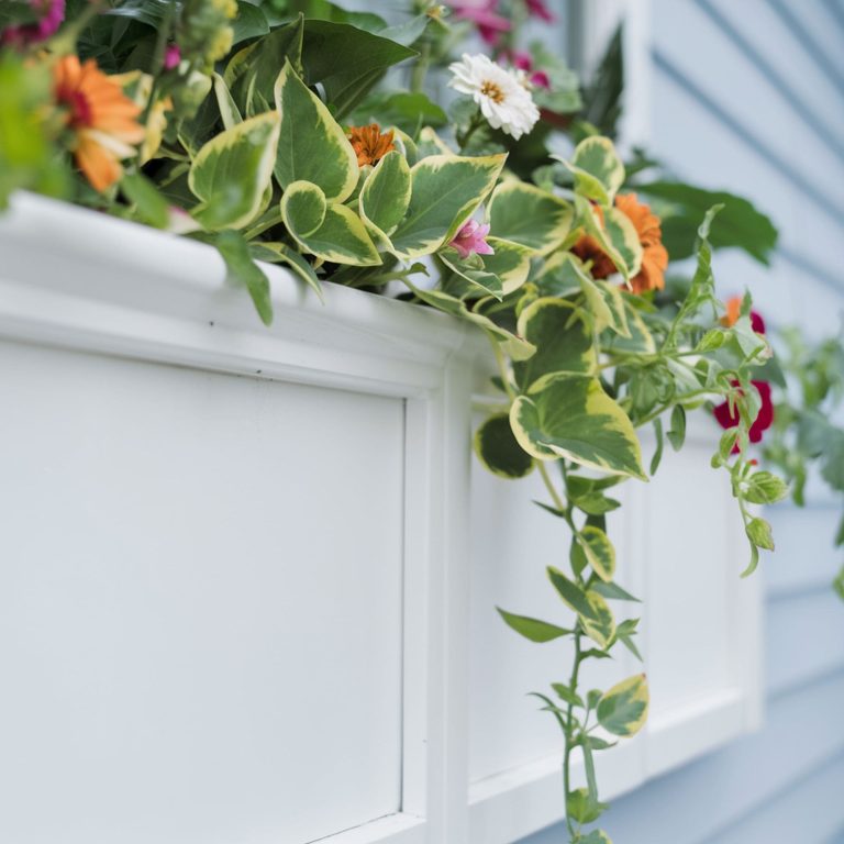 25 Beautiful DIY Window Box Ideas – Rhythm of the Home