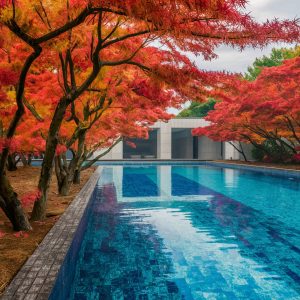 The 13 Best Trees For Pool Areas – Rhythm of the Home