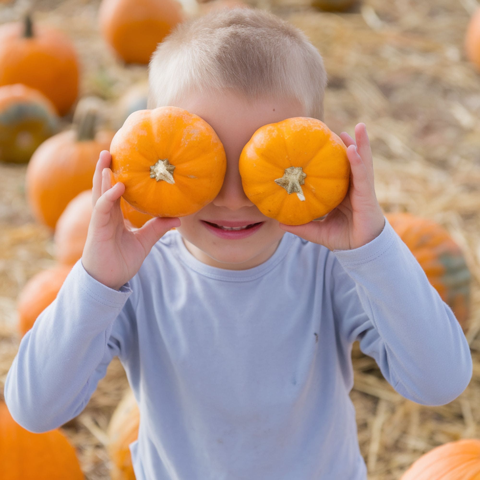 7 Fall Festival Ideas for School – Rhythm of the Home