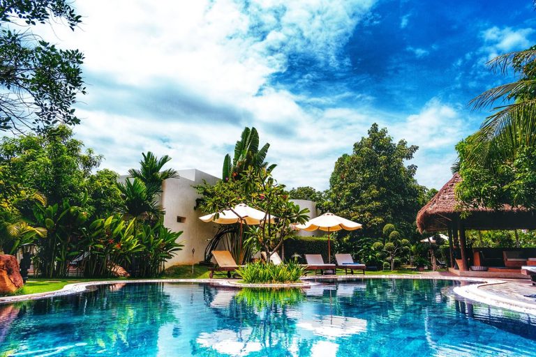 The 13 Best Trees For Pool Areas - Rhythm of the Home