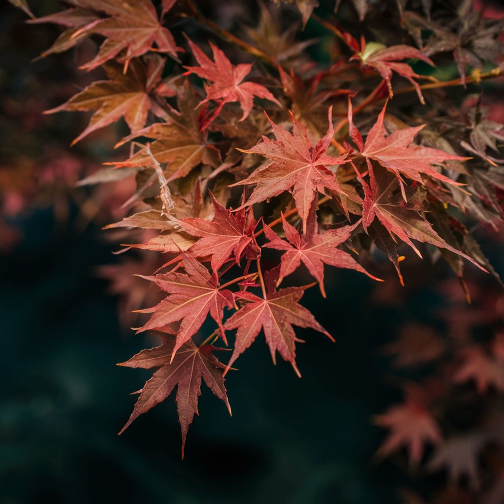 10 Traditional Japanese Plants for Your Home and Garden – Rhythm of the ...