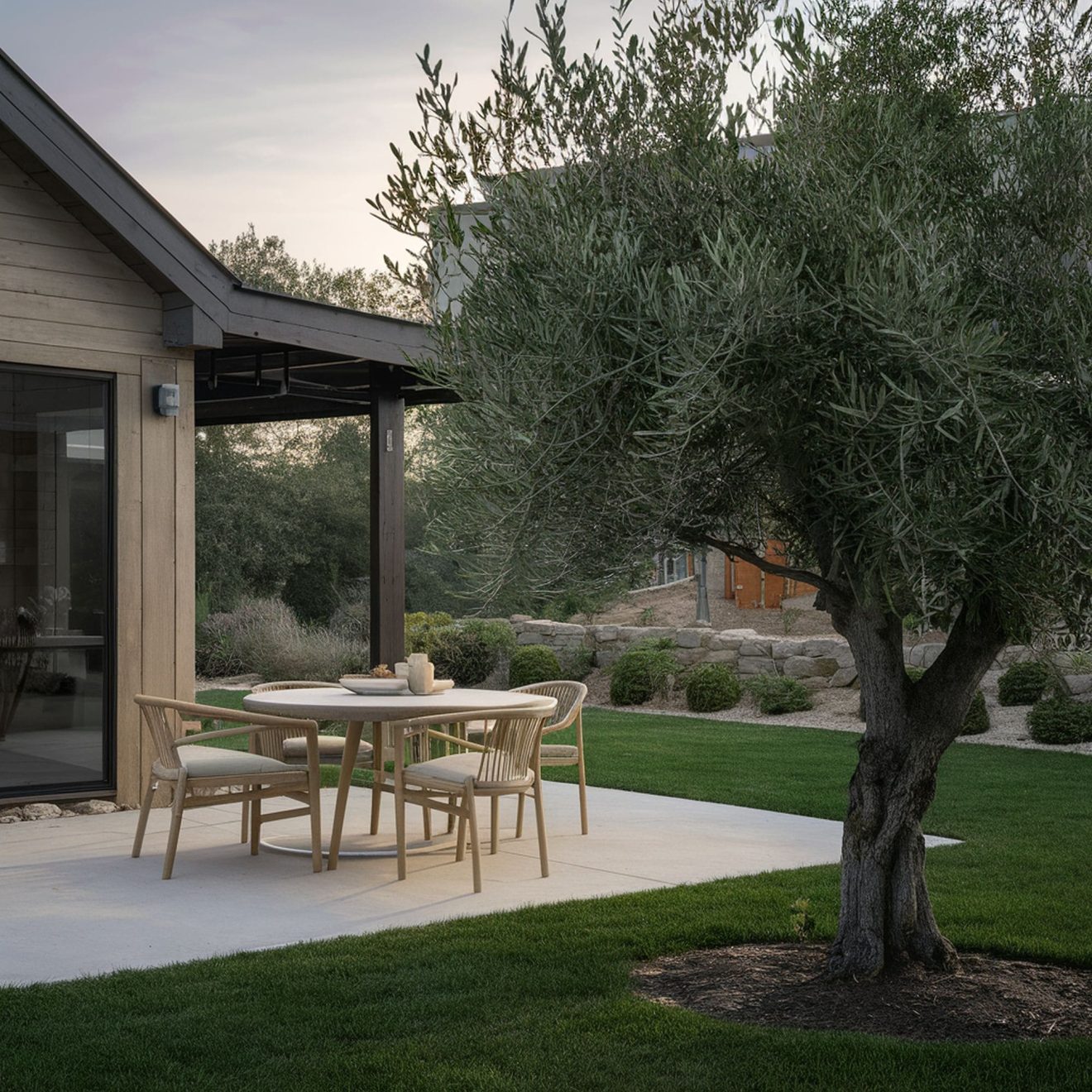 The 20 Best Patio Trees – Rhythm of the Home