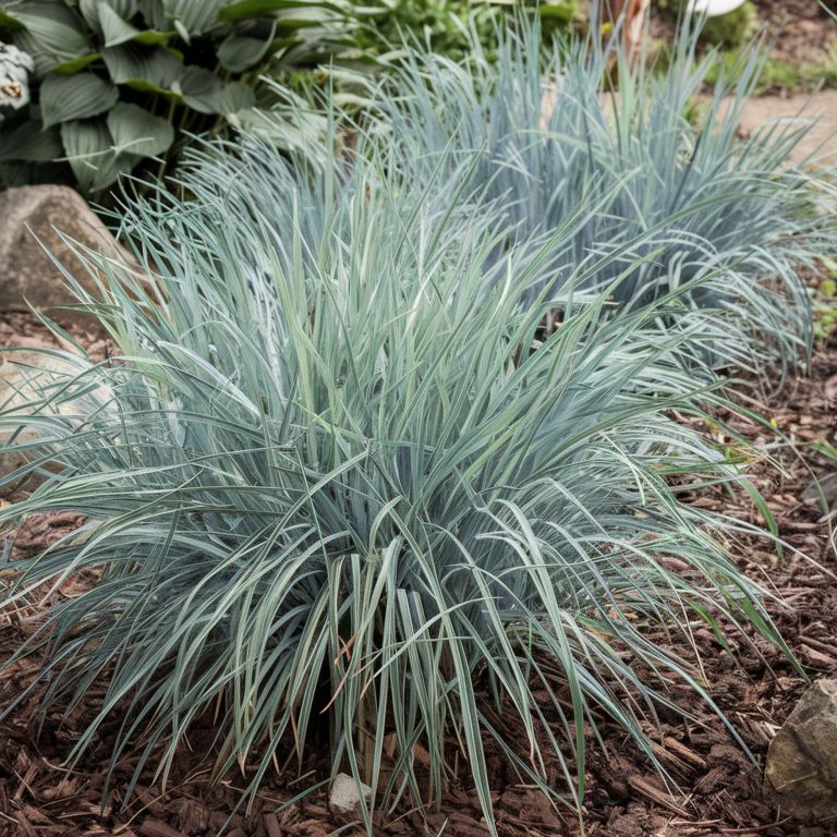 The 20 Best Plants for Rock Gardens – Rhythm of the Home