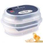 The 7 Best Egg Incubators in 2025 – Rhythm of the Home