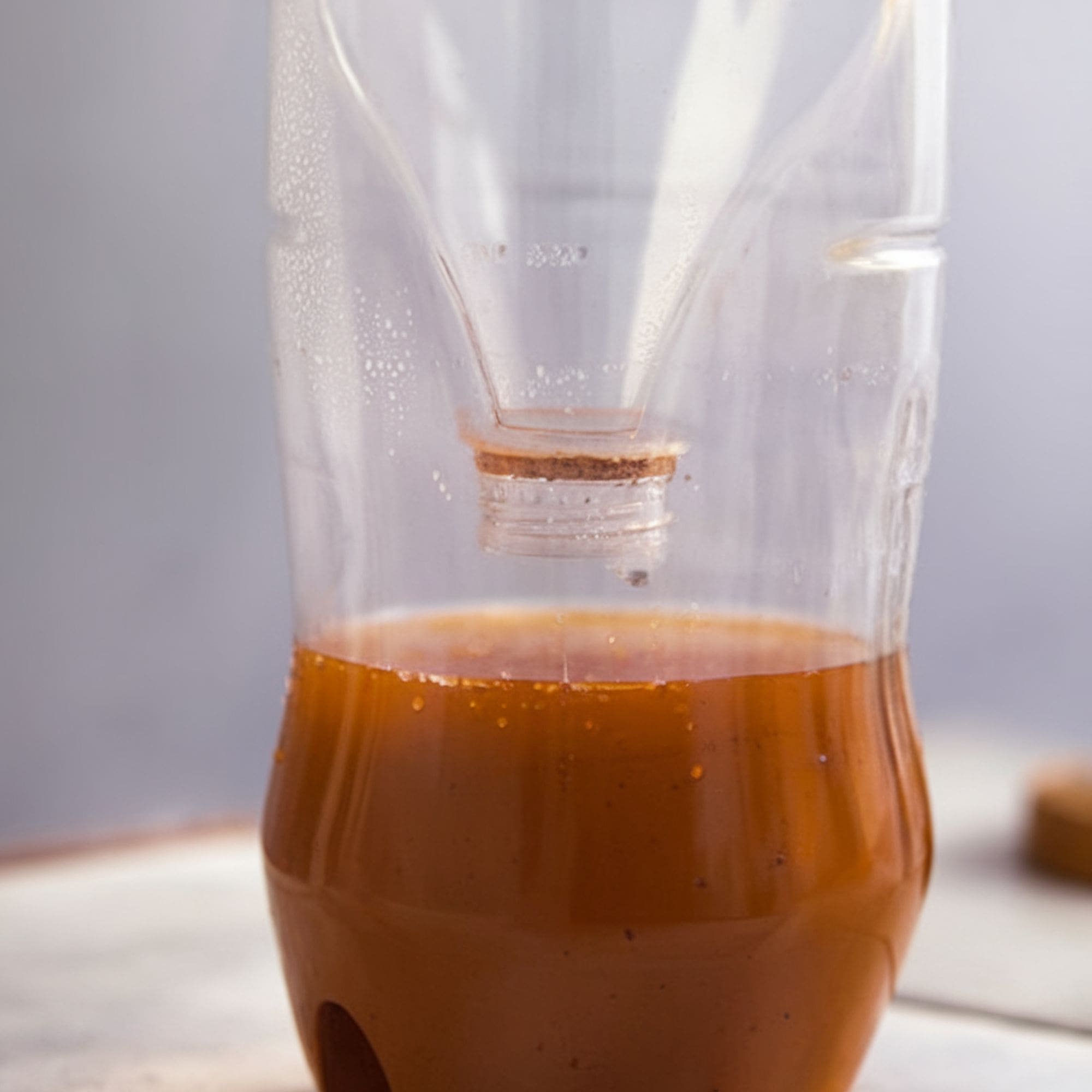 The 10 Best DIY Mosquito Traps – Rhythm of the Home