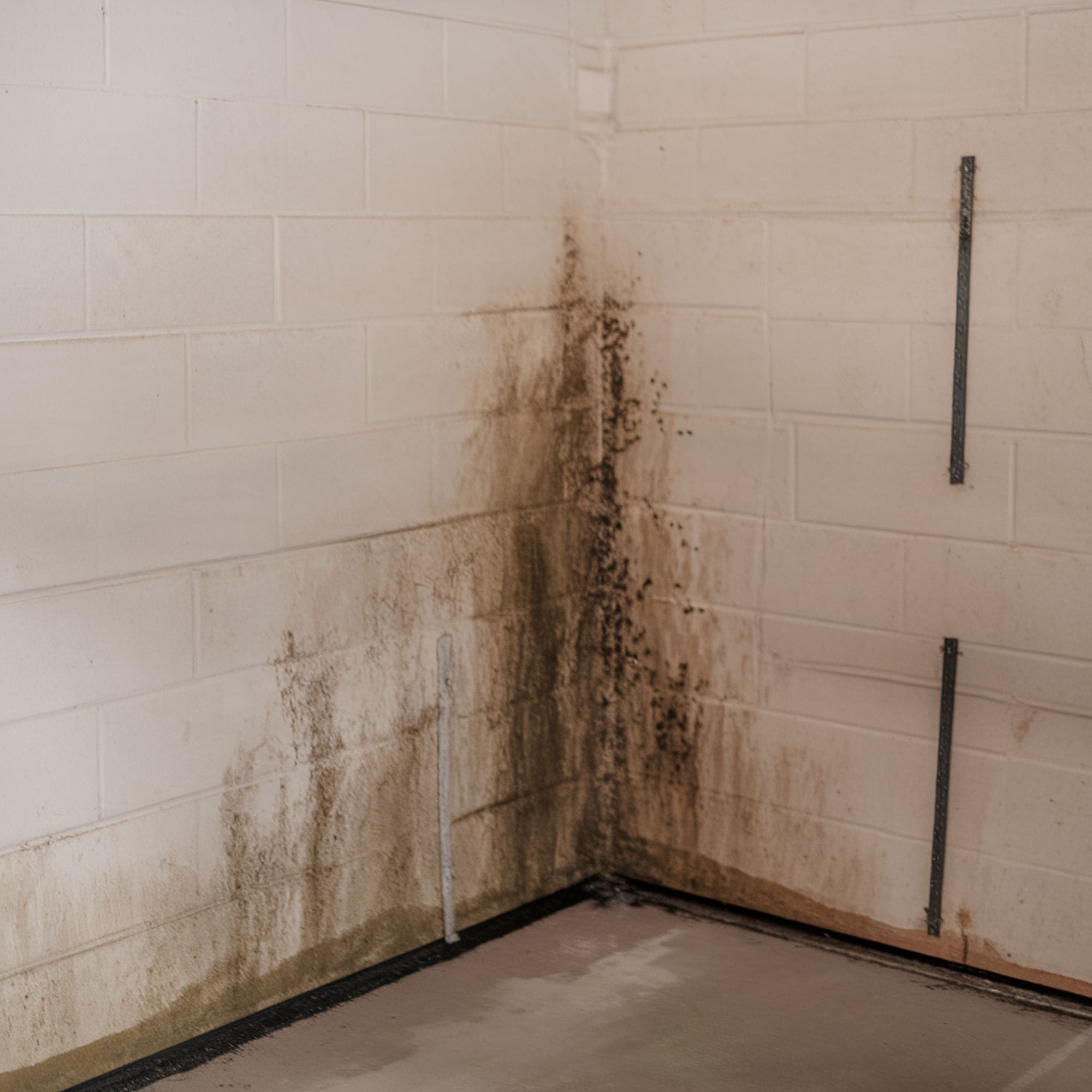Complete Basement Waterproofing Guide in 24 Steps – Rhythm of the Home