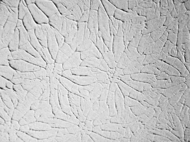 The Best 15 Wall Texture Types and How to Create Them – Rhythm of the Home