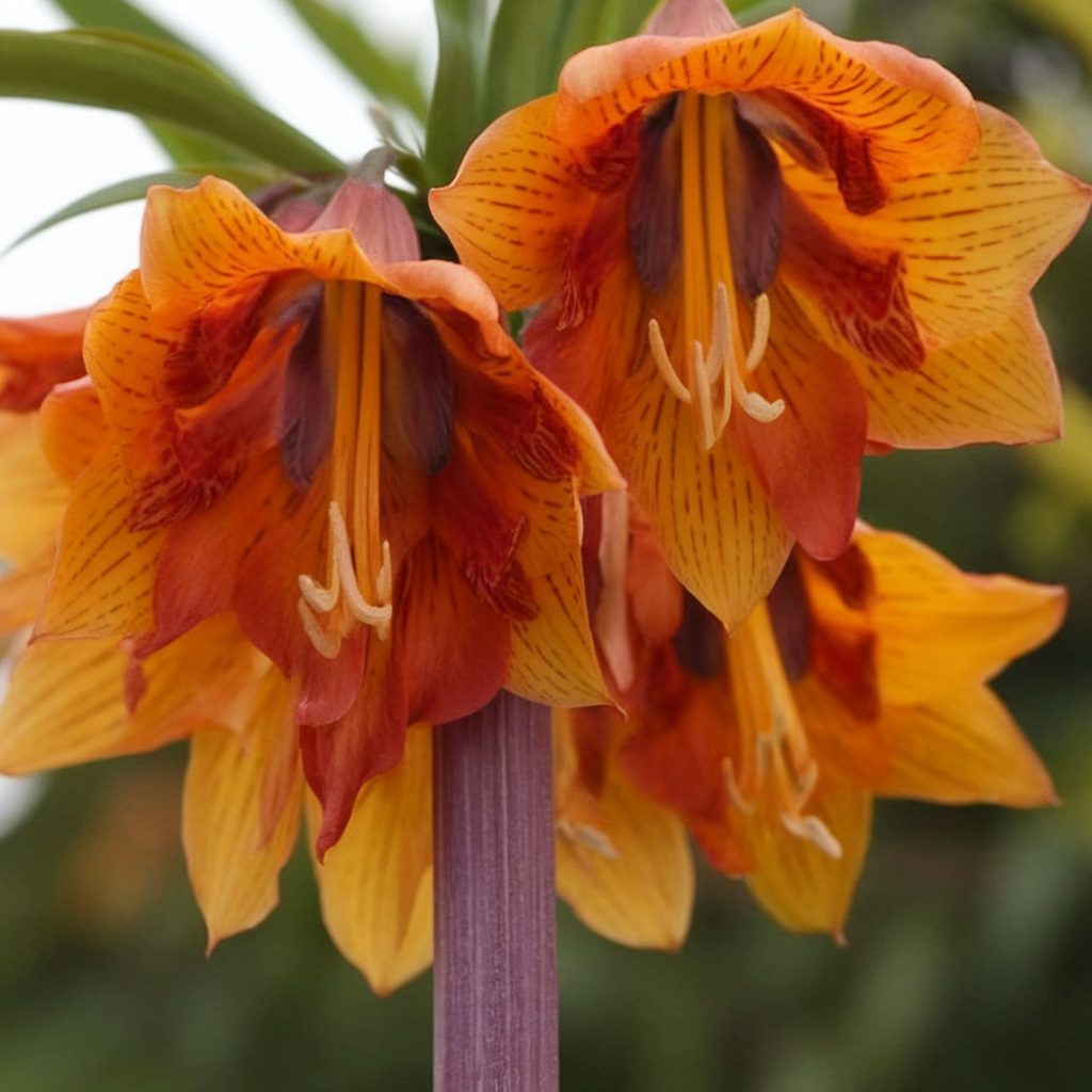 12 Plants That Rodents Hate (Won’t Eat) – Rhythm of the Home