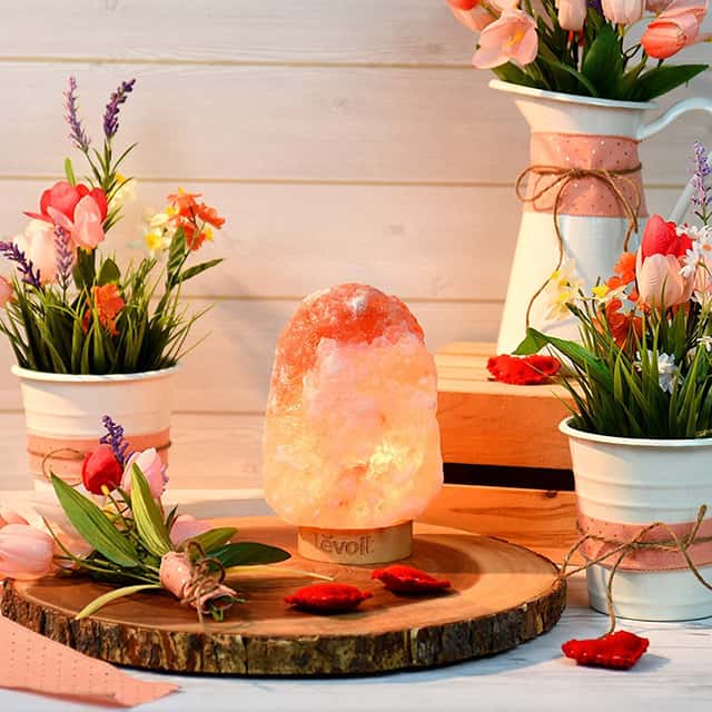 The 7 Best Himalayan Salt Lamps in 2025 – Rhythm of the Home