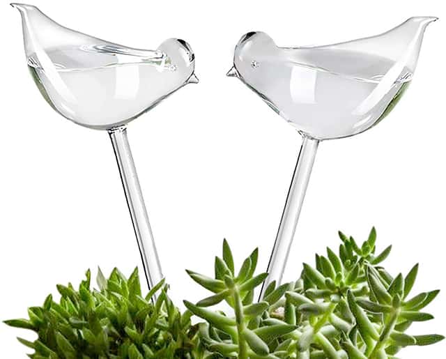 The 7 Best Automatic Plant Waterers in 2025 – Rhythm of the Home