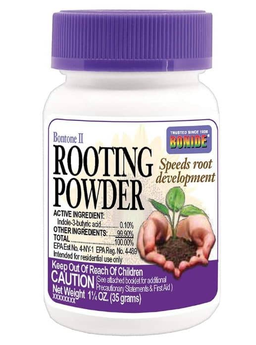 The 7 Best Rooting Hormones in 2025 – Rhythm of the Home
