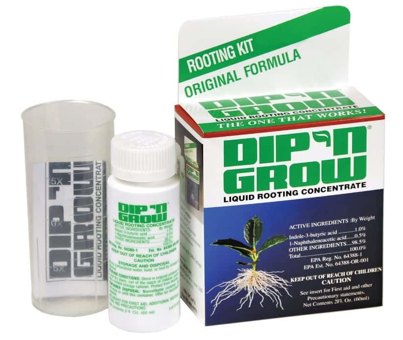 The 7 Best Rooting Hormones in 2025 – Rhythm of the Home