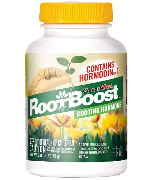 The 7 Best Rooting Hormones in 2025 – Rhythm of the Home