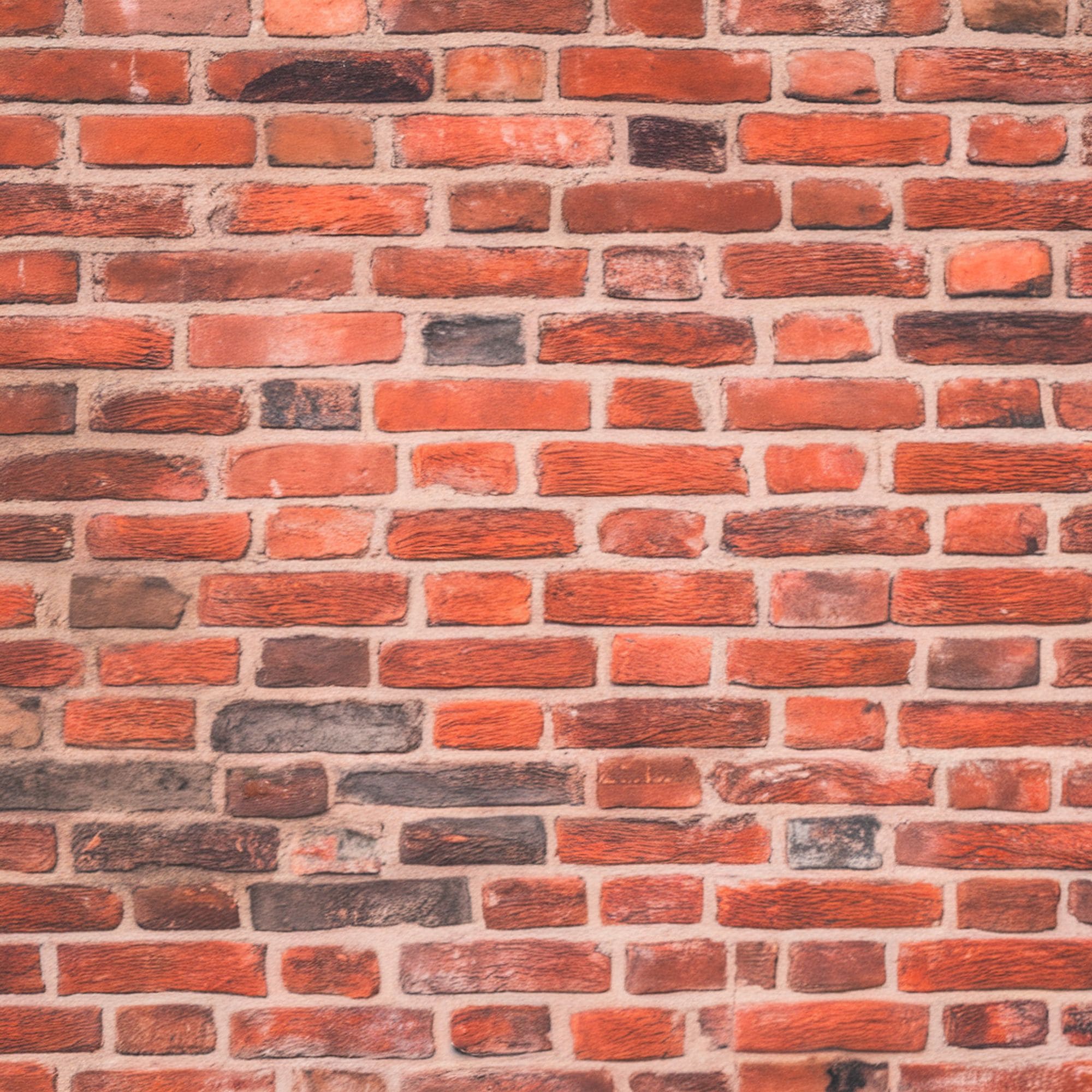 Complete German Smear Guide (Schmear) – Rhythm of the Home