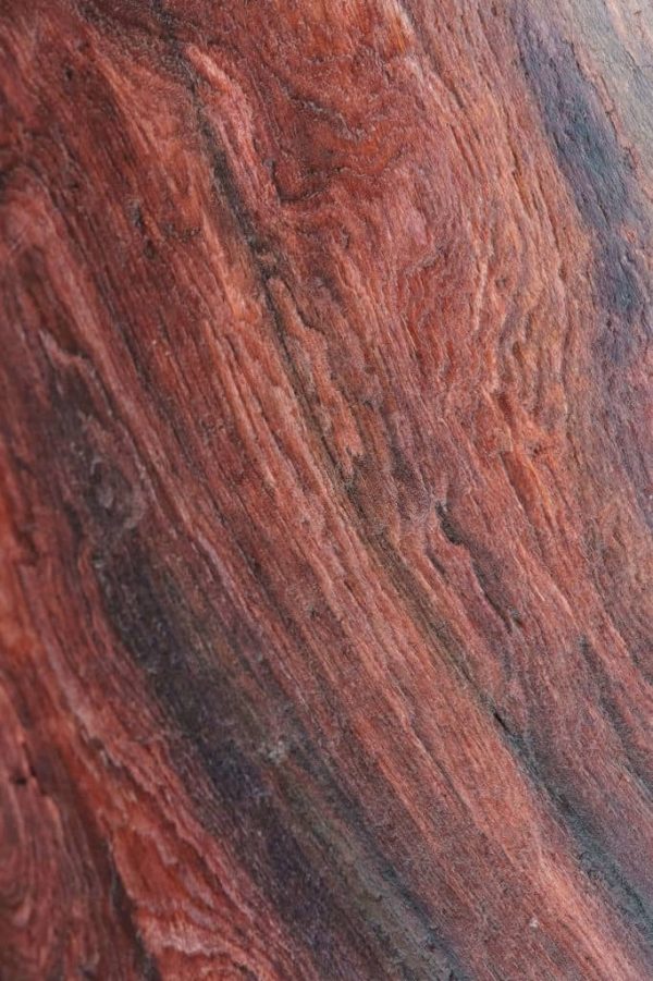 20 Types of Wood and Where/How to Use Them – Rhythm of the Home