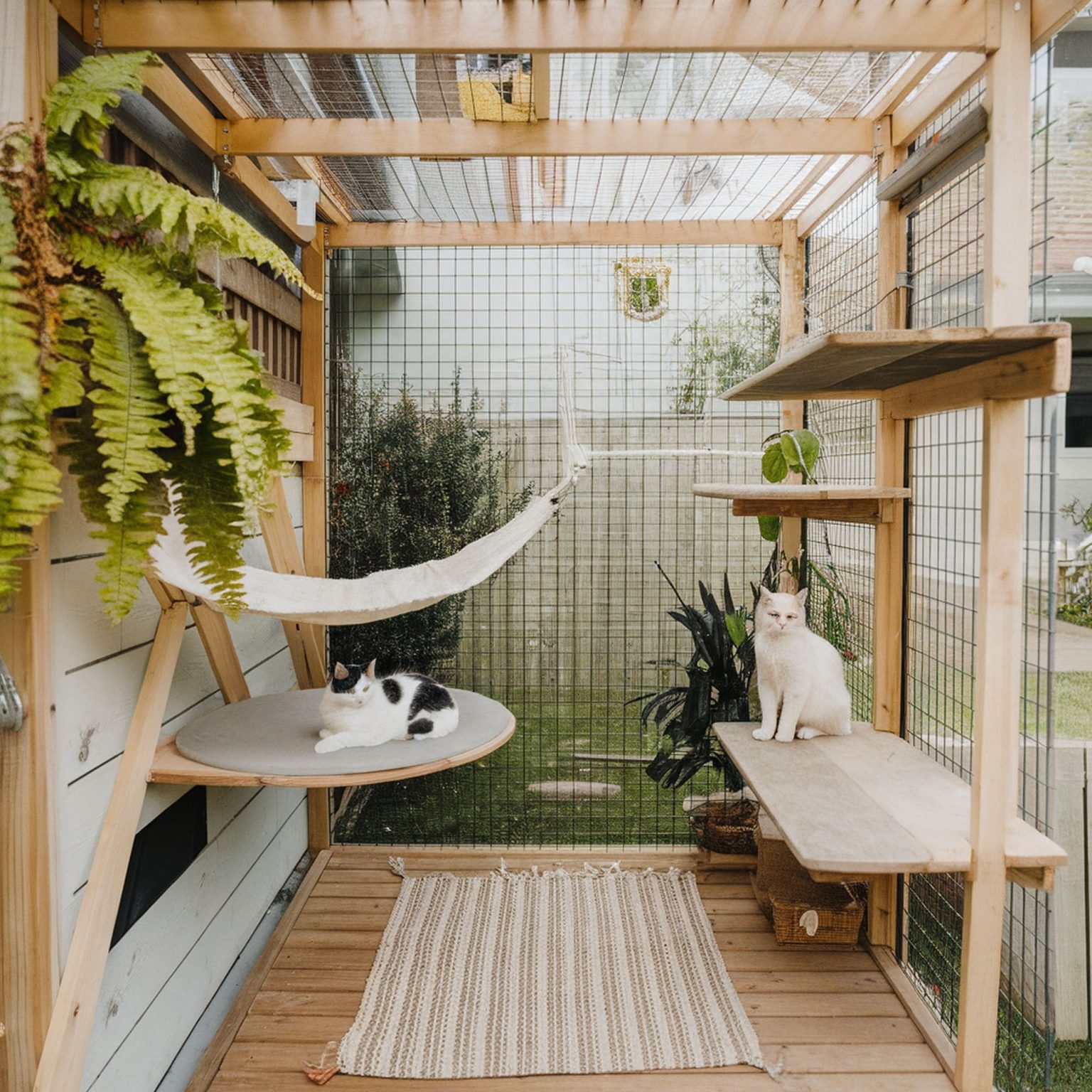 34 Catio Ideas Your Furry Friend Will Love – Rhythm of the Home