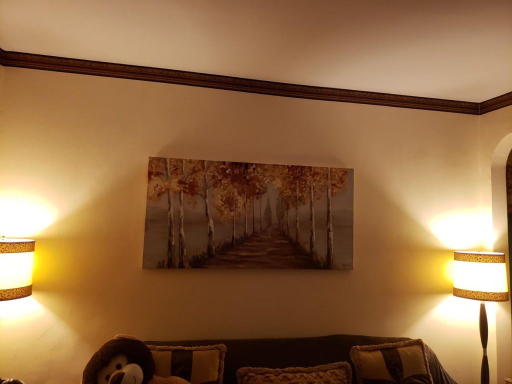 10 Stunning Wallpaper Border Ideas – Rhythm of the Home