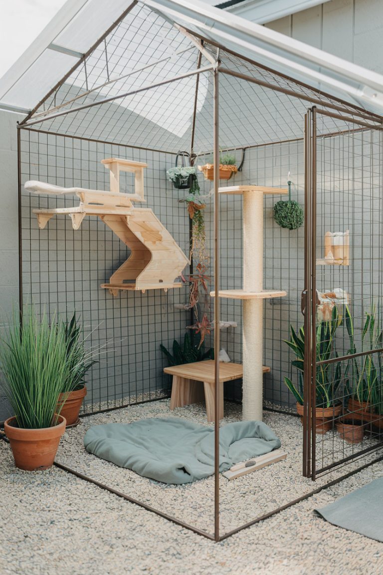34 Catio Ideas Your Furry Friend Will Love – Rhythm of the Home
