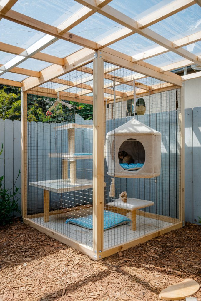 34 Catio Ideas Your Furry Friend Will Love – Rhythm of the Home