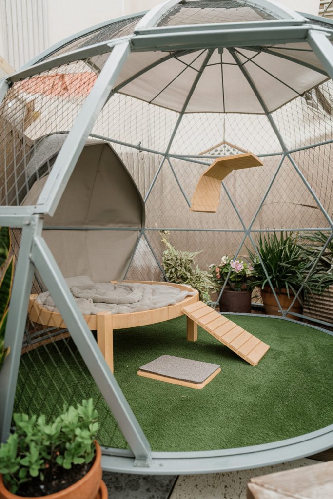 34 Catio Ideas Your Furry Friend Will Love – Rhythm of the Home