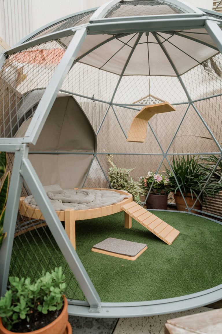 34 Catio Ideas Your Furry Friend Will Love – Rhythm of the Home