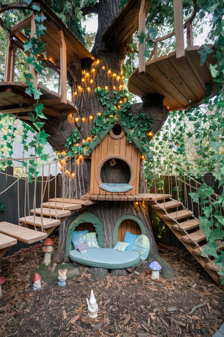34 Catio Ideas Your Furry Friend Will Love – Rhythm of the Home