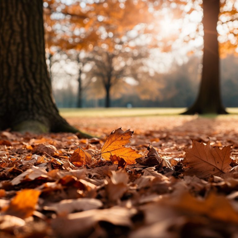 The 8 Fall Scents That Will Make Your Home Smell Amazing – Rhythm of ...