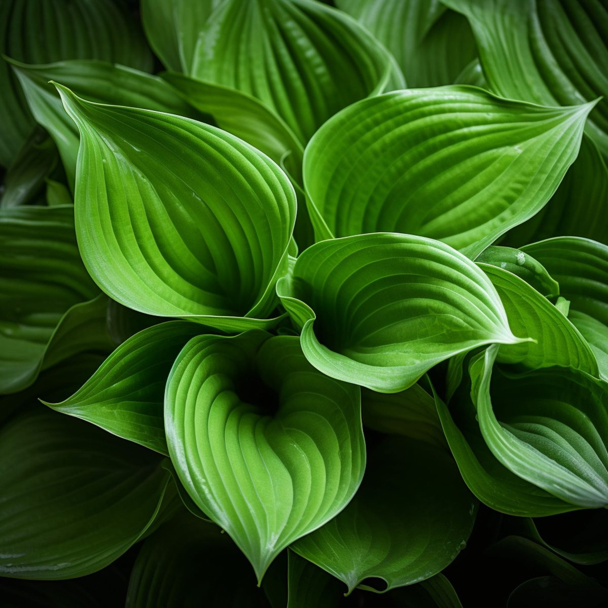 The 11 Best Plants, Flowers and Vegetables to Grow in Minnesota ...