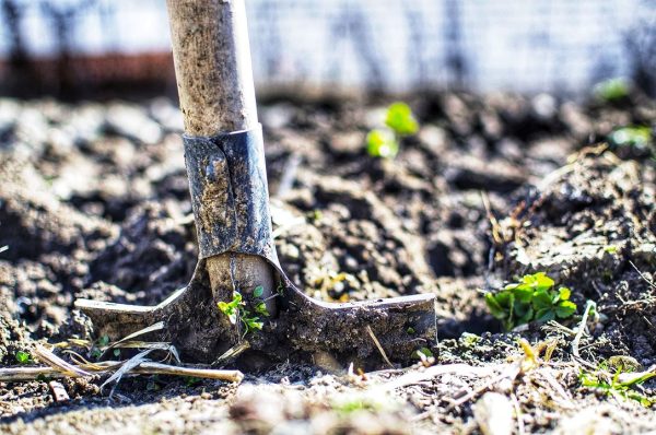 The 15 Types of Shovels and How to Use Them – Rhythm of the Home