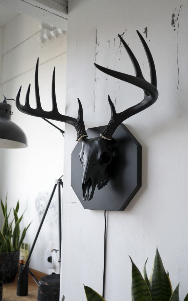 60 Beautiful European/Skull Mount Ideas – Rhythm of the Home