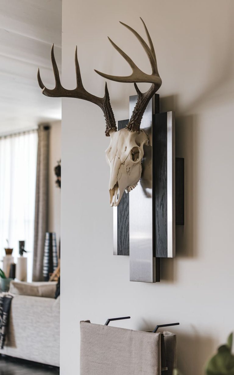 60 Beautiful European/Skull Mount Ideas – Rhythm of the Home