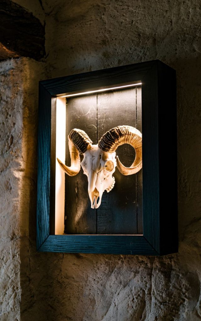 60 Beautiful European/Skull Mount Ideas – Rhythm of the Home