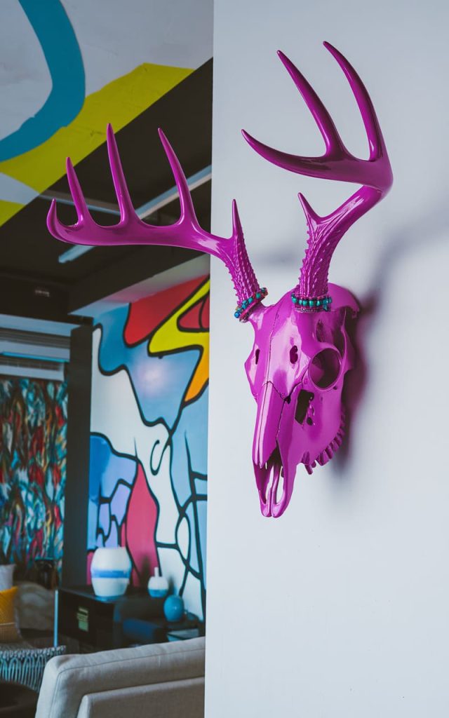 60 Beautiful European/Skull Mount Ideas – Rhythm of the Home